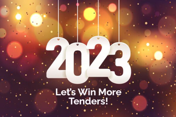 The Tender Process: What to Expect, Step by Step - TenderEyes | The ...