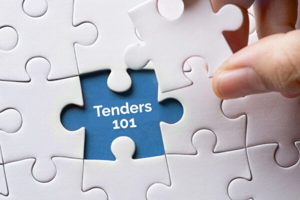 10 Project Management Tips for Tender Success - TenderEyes Blog